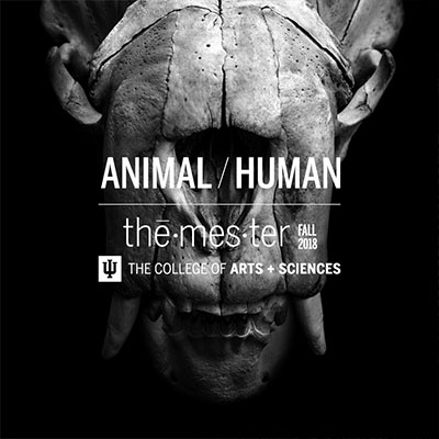 Tommy DeNardo | Art + Design